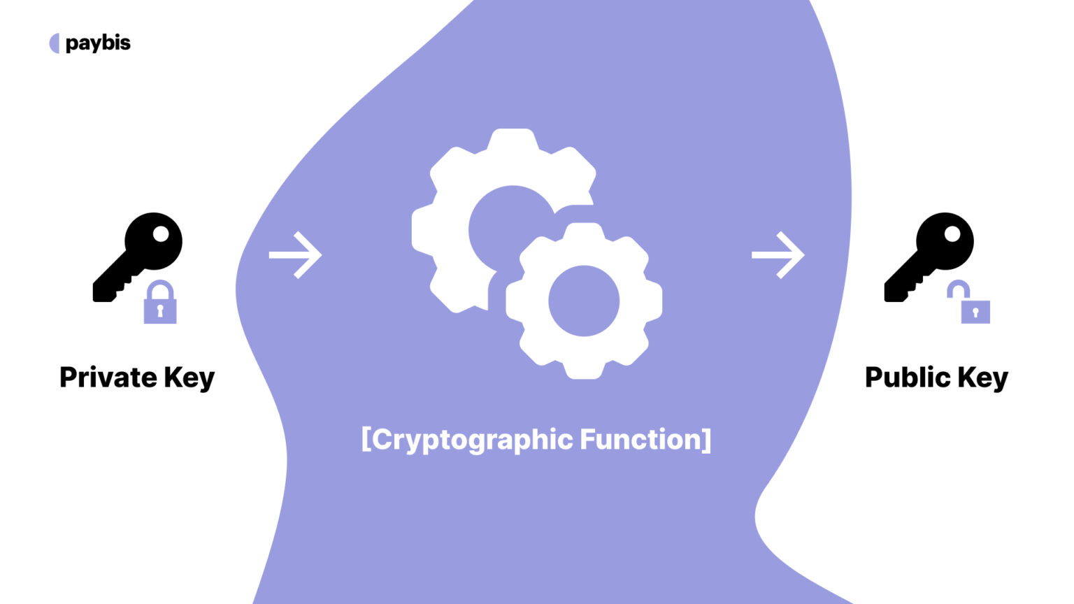 What is a Bitcoin Address? - Paybis Blog