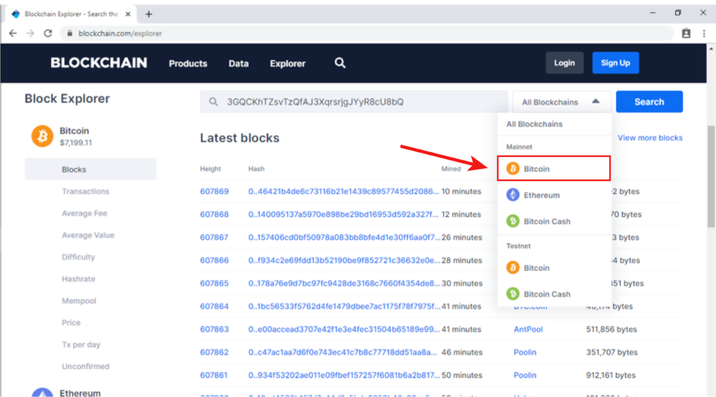 TXID Meaning - What is TXID and Why it's Important? - Paybis Blog