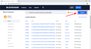 TXID Meaning - What is TXID and Why it's Important? - Paybis Blog