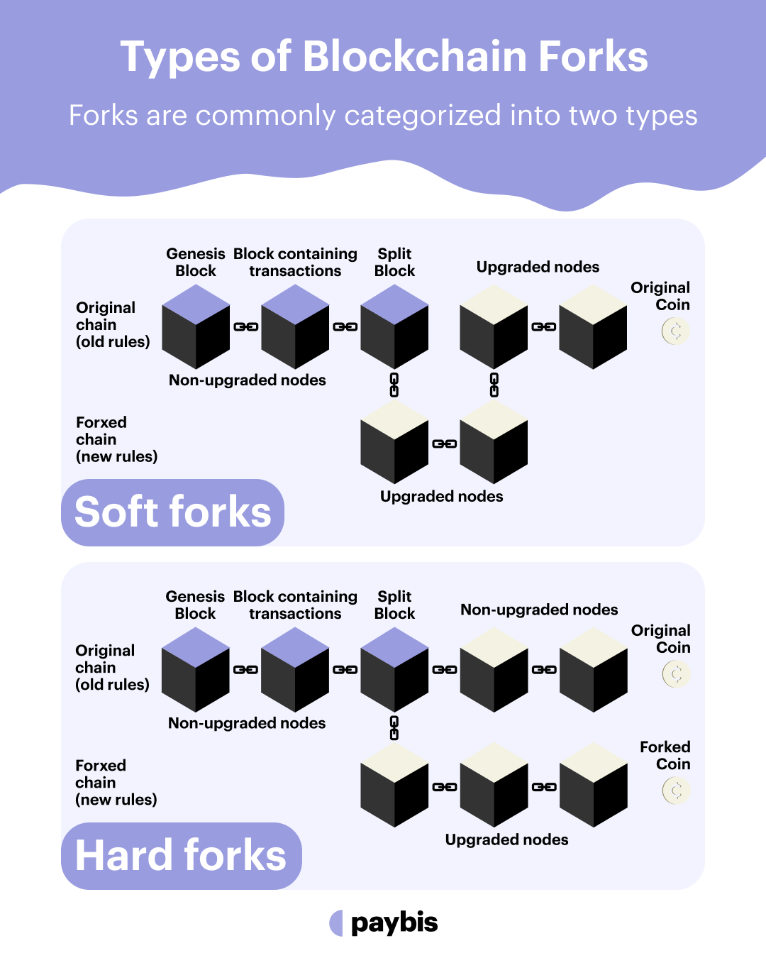 What Are Blockchain Forks Hard Fork Vs Soft Fork Paybis Blog