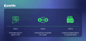 Everything You Need to Know About Paybis Payment Processing - Paybis Blog